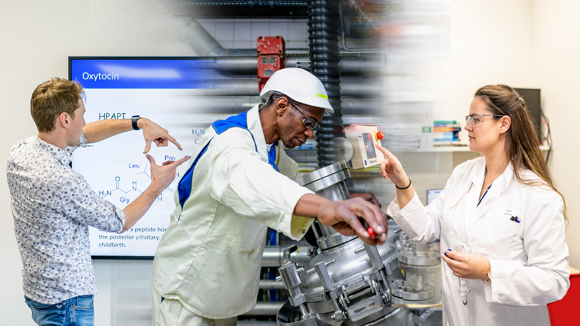 Maak kennis met ons | Werken bij Aspen API